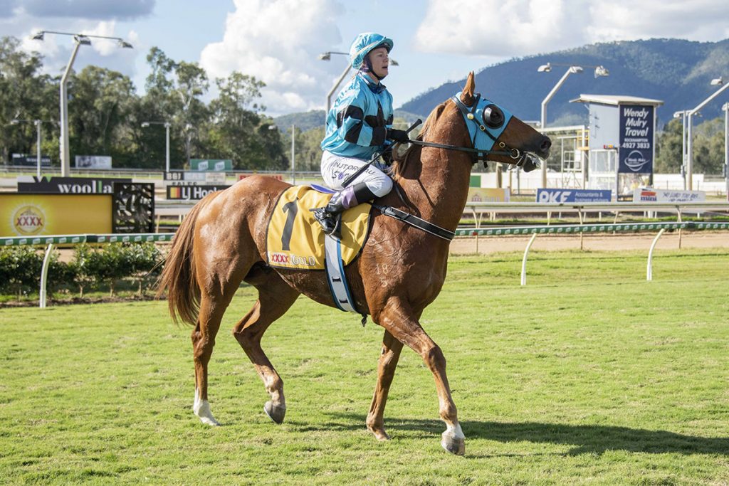 Home - Ares Racing Australia Race Horses